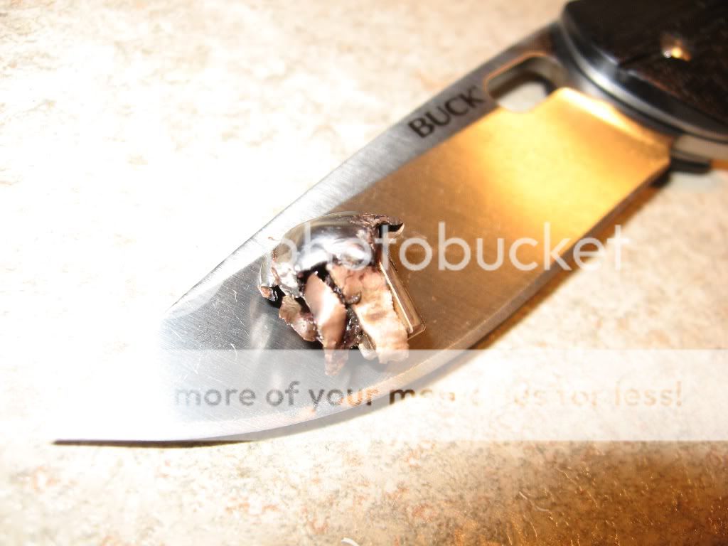 Is A .243 An Effective Deer Round - 24hourcampfire