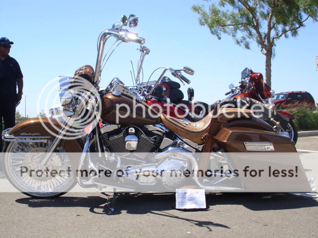 Hogs, Harleys, Baggers, Choppers | Page 149 | LayItLow.com Lowrider Forums